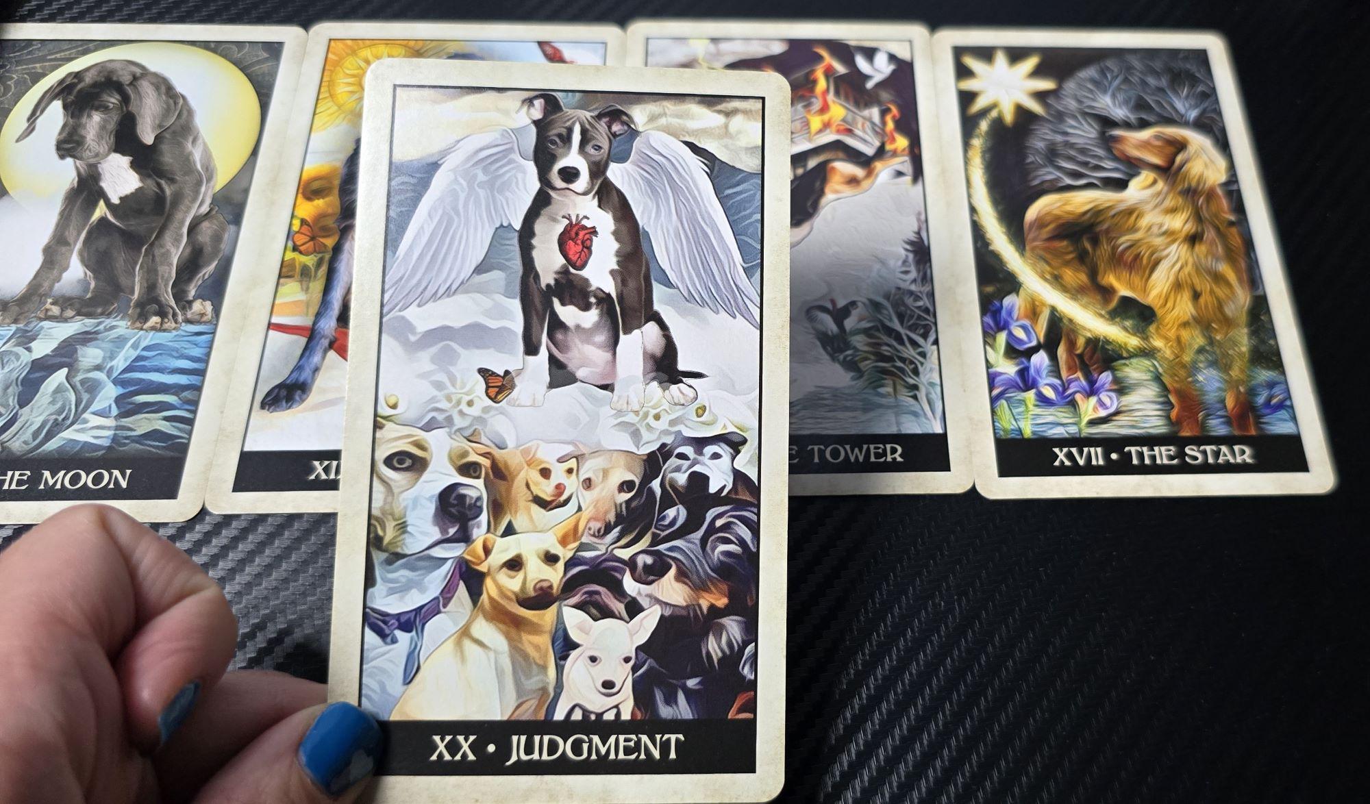 Wise Dog Tarot, Rider-waite, Tarot Deck and Guidebook, Dog, Divine ...