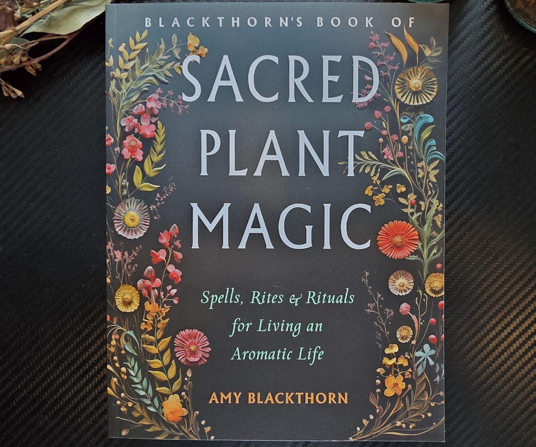 Sacred Plant Magic by Amy Blackthorn, Herbalism Book, Green Witch Gift ...