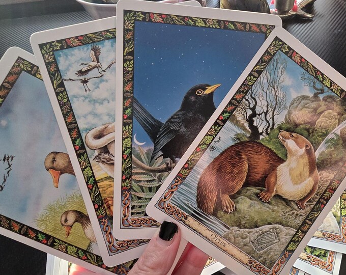 The Druid Animal Oracle and Guidebook, 33 Oracle Cards, Celtic Animal ...