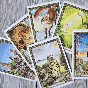 The Druid Animal Oracle Deck | 2021 Red Wheel Edition ~ Cottagecore ...