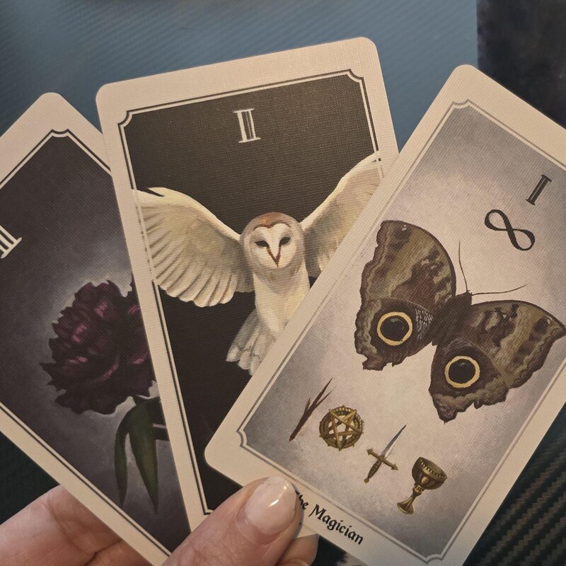 Indie Tarot Decks - Etsy UK