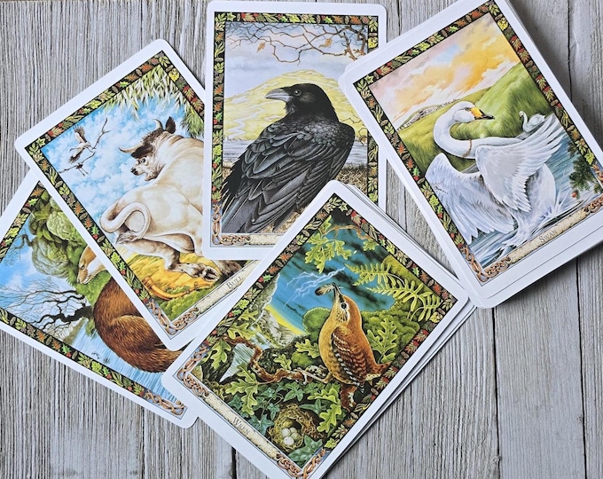 The Druid Animal Oracle Deck | 2021 Red Wheel Edition ~ Cottagecore ...