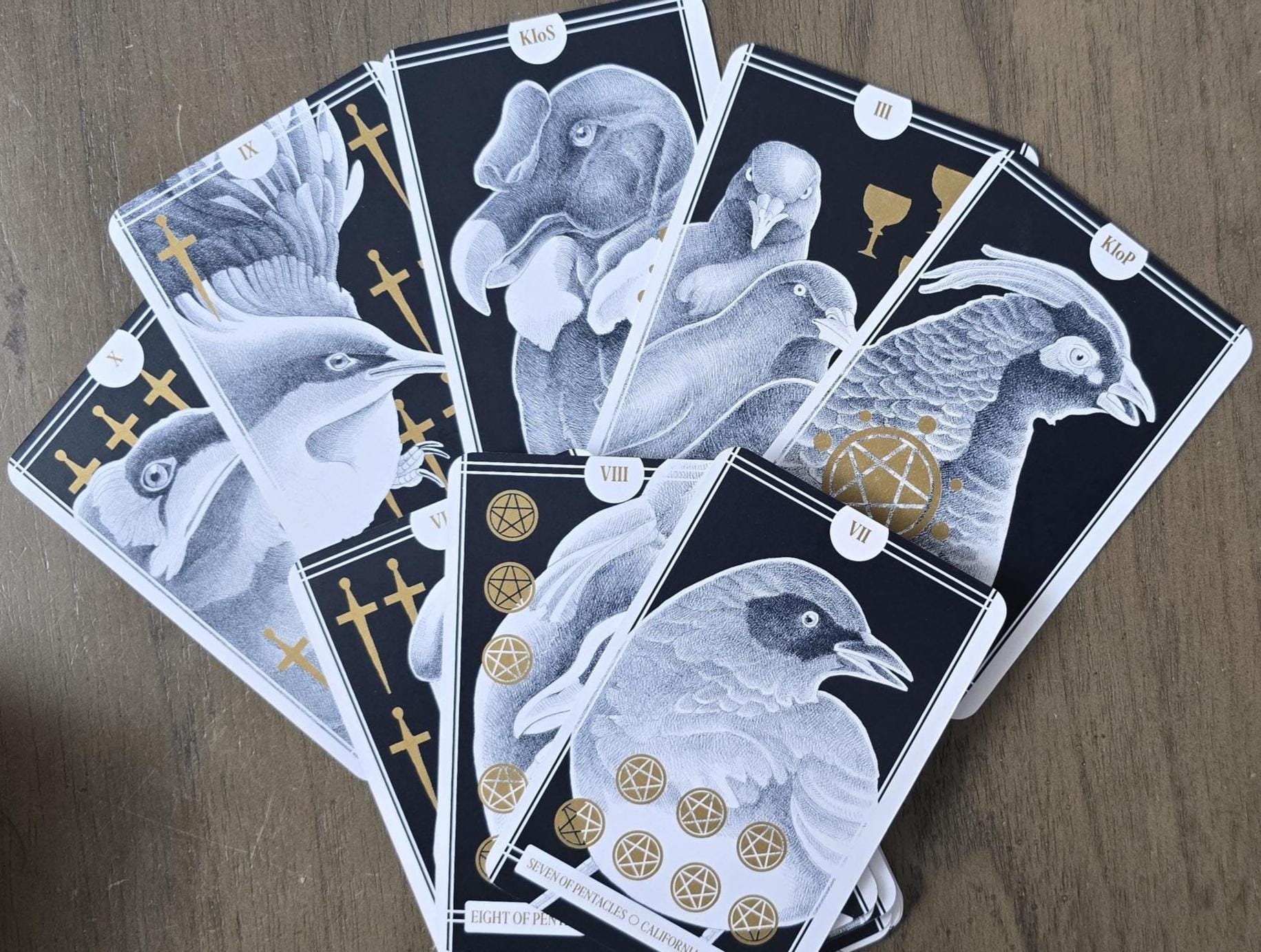 The Avian Tarot Card Deck - 78 Bird Inspired Tarot Cards + 220 Page ...