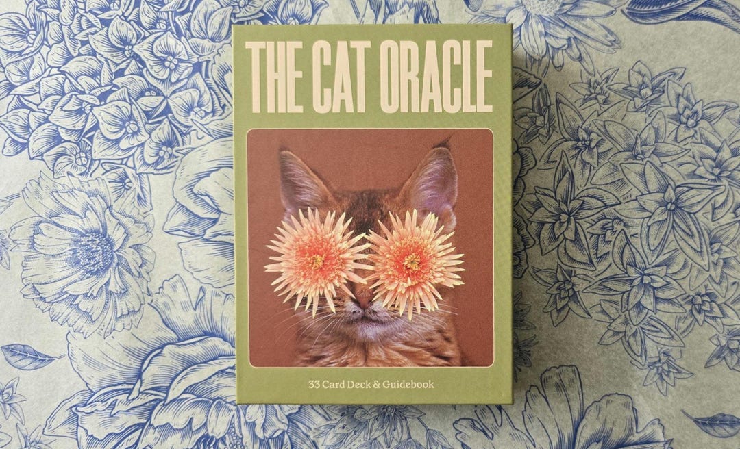The Cat Oracle, 33 Animal Oracle Cards, Cat Lover Gift, Wiccan Gift ...