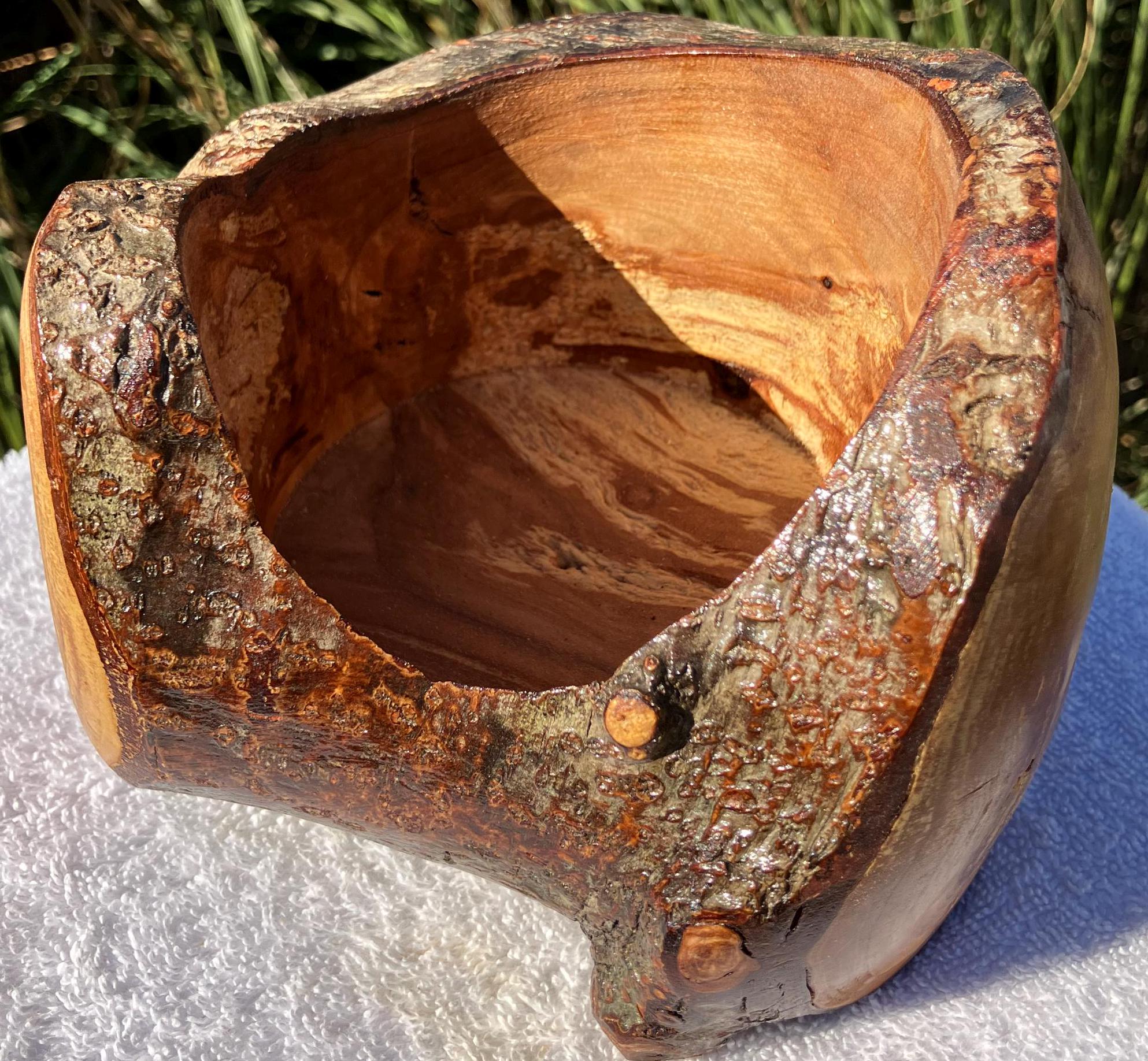 Hand Turned Pacific Ocean Wax Myrtle Bowl - Etsy