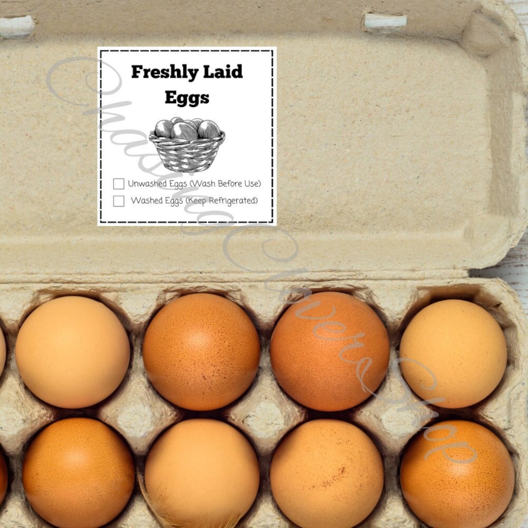 Washed or Unwashed Eggs Digital Download, Freshly Laid Eggs, Print at ...