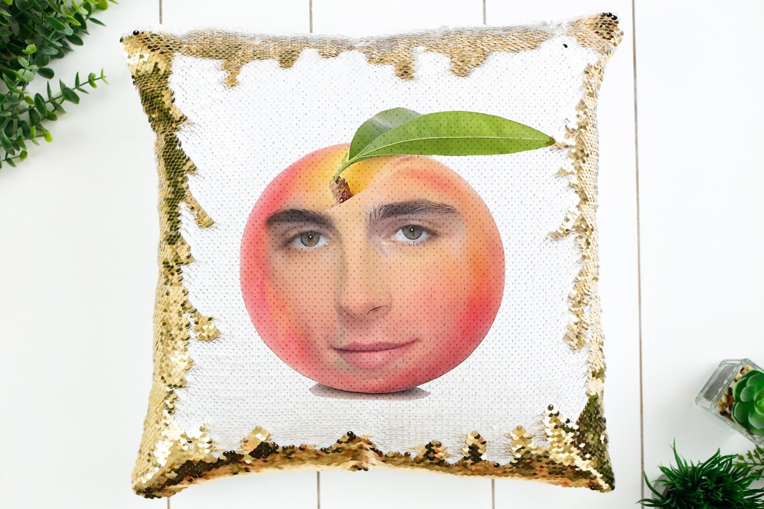 Timothee Chalamet Pillow, Funny Meme Gift, Wonka Pillow, Gift for Women ...