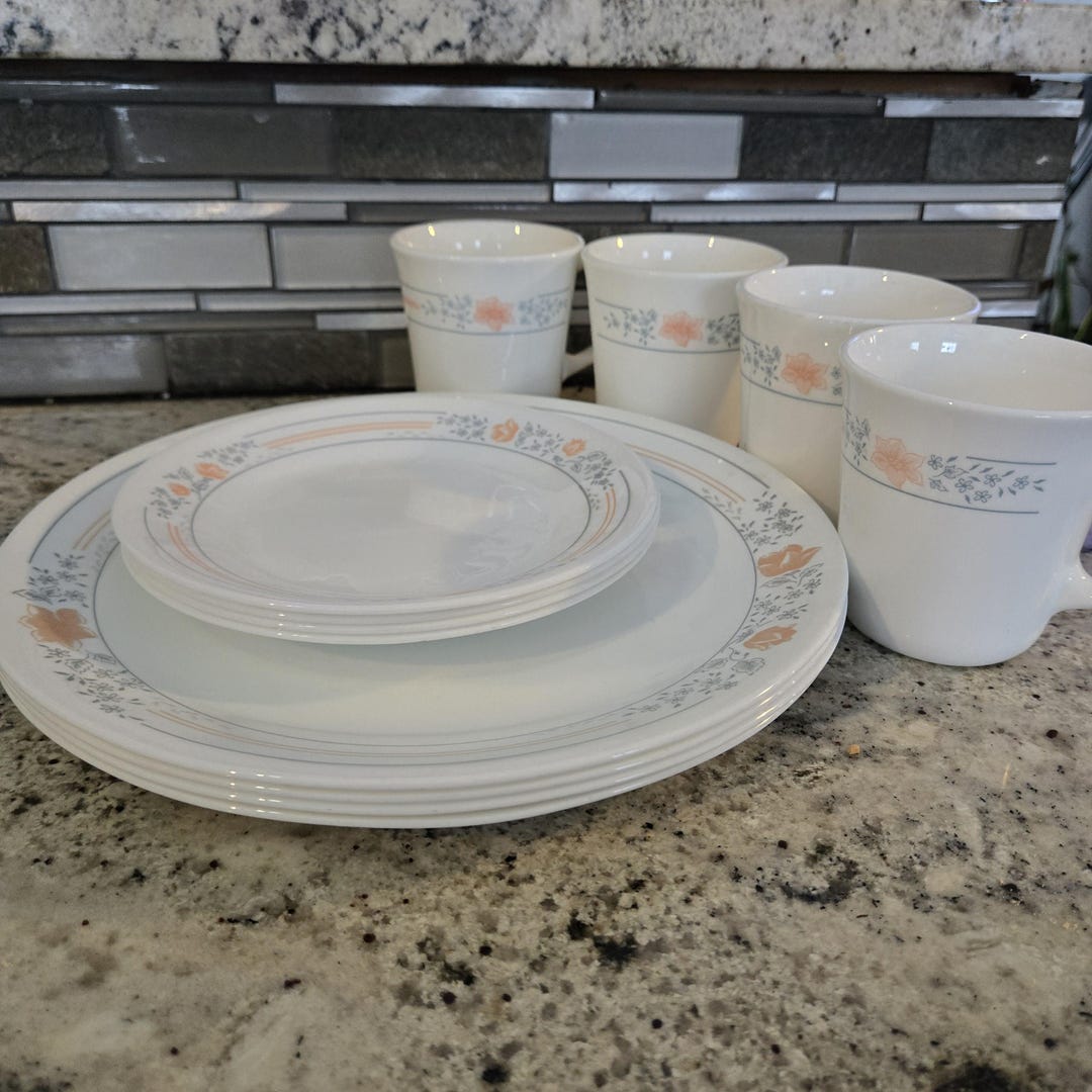 CORELLE Set of 12 Apricot Grove Orange and Blue Floral - Etsy