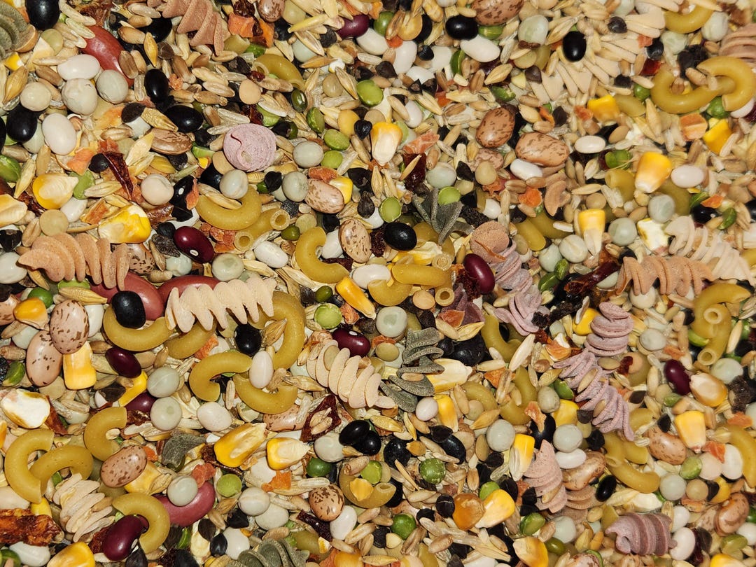 Stove Top Bird Buffet Blend for All Hookbills, 2.5 Lbs, Parrot, Macaw ...