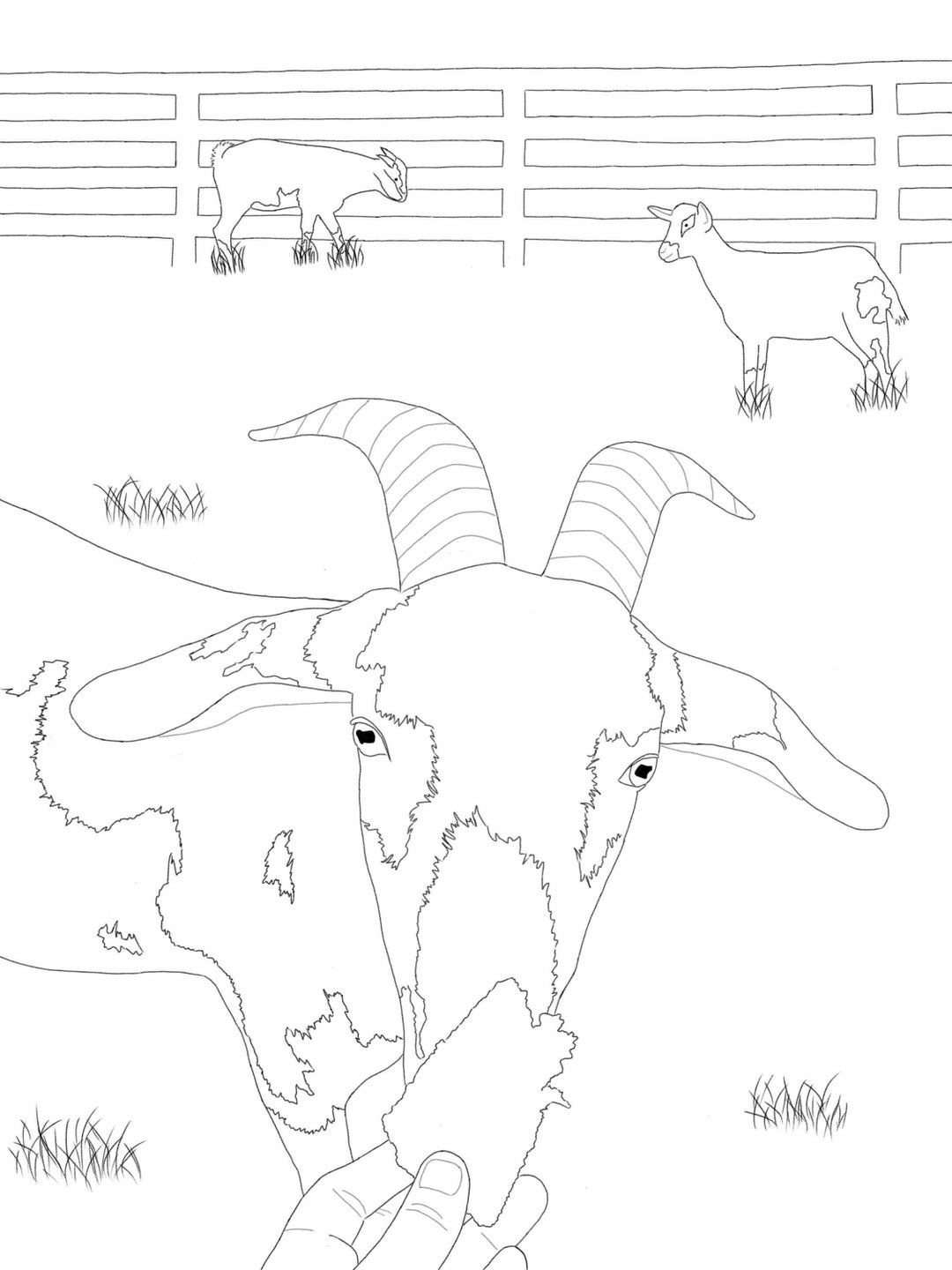 Feeding Goat Coloring Page - Etsy