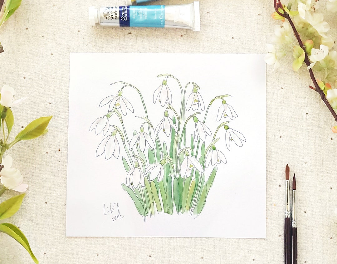 Hand Painted Original Sketch White Snowdrops Painting, Ink and ...