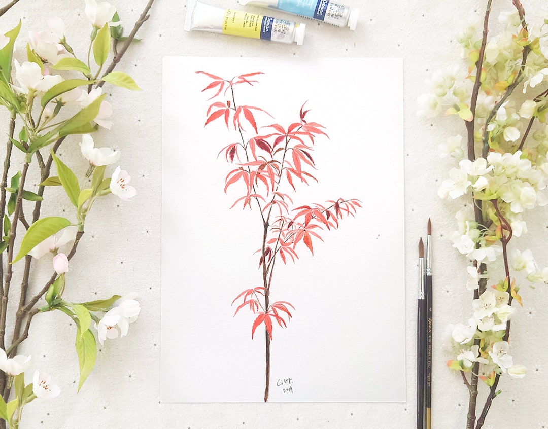 Original Painting, Hand Painted Red Japanese Dwarf Maple Tree ...