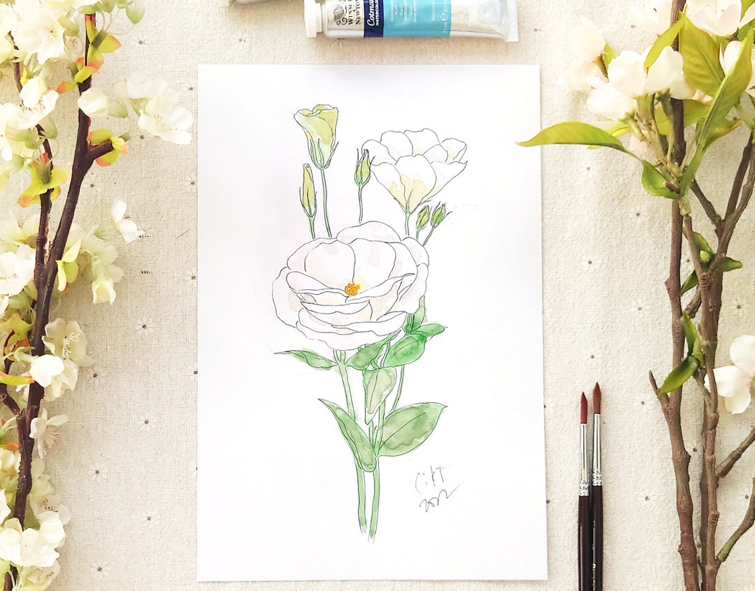 Original Eustoma Watercolor Painting: Botanical Illustration (6.6x9.8 ...
