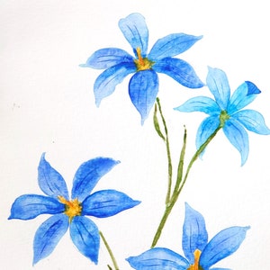 Original Hand Painted Blue Eyed Mary Flower Blue Lobelia Watercolour ...