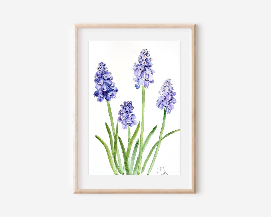 Blue Grape Hyacinth Painting: Original Floral Botanical Art - Etsy