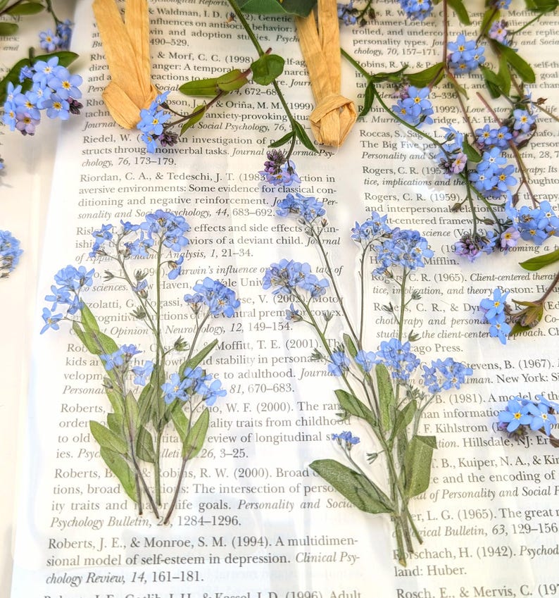 Blue Forget-me-not Bookmark: Pressed Dried Flowers, Botanical Gift - Etsy