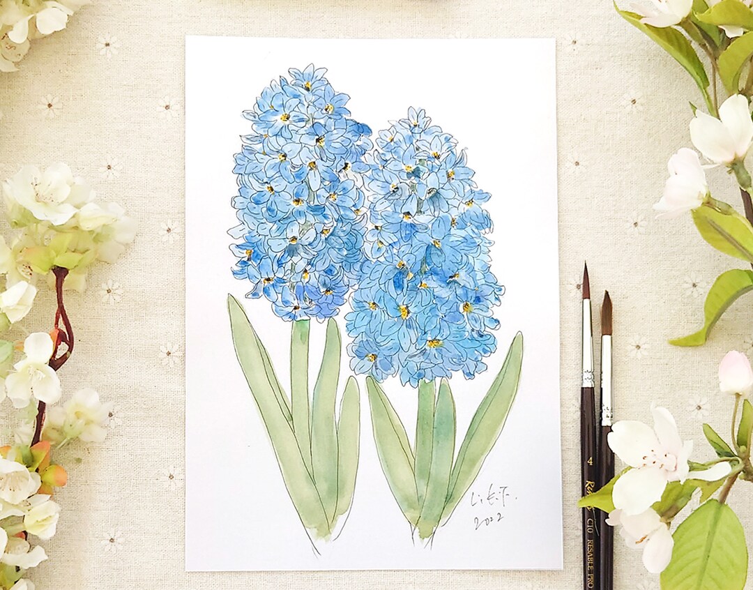 Original Hand Painted Blue Hyacinth Ink and Watercolour , Floral ...