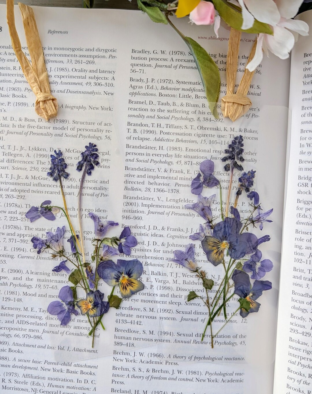 Pressed Purple Flower Bookmark: Real Botanical Laminate - Etsy