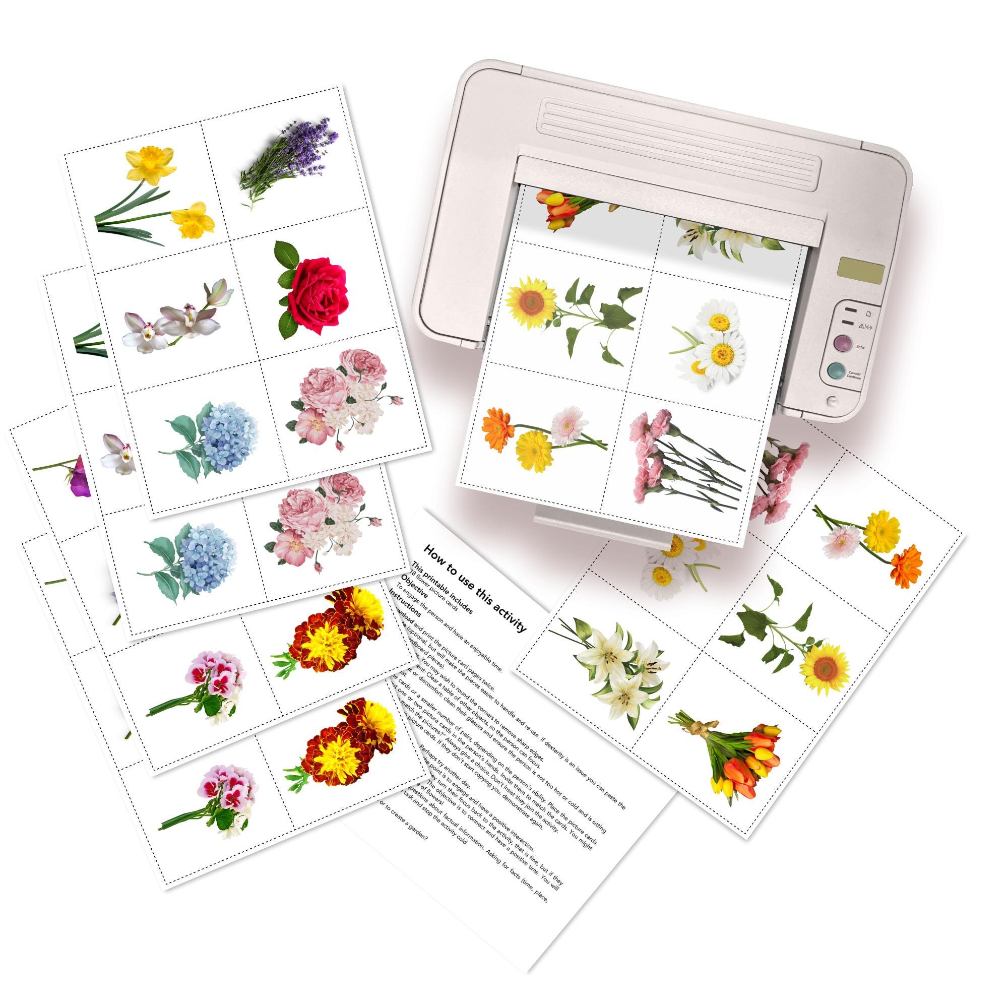 Flowers Picture Matching Game: Dementia Activity (PDF Download) - Etsy