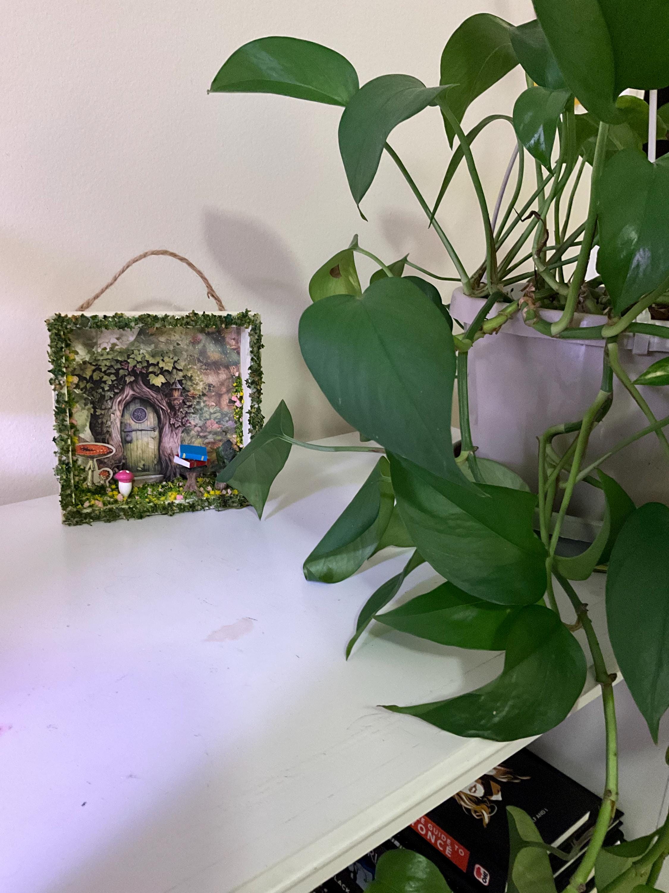 Fairycore Shadow Box, Mushroom Decor, Natural Decor, Fairy Garden ...