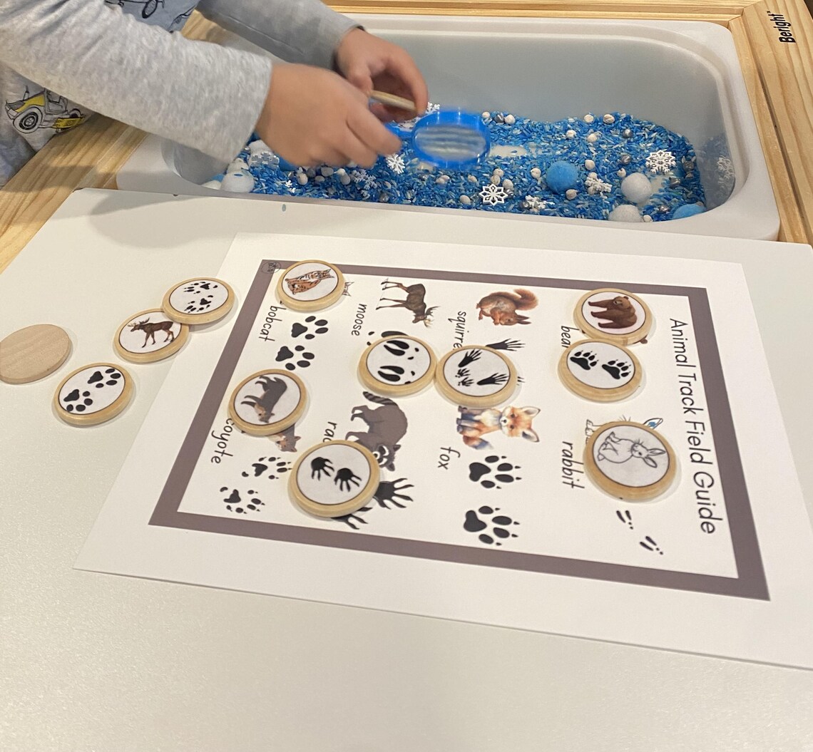 Animal Tracks Sensory Matching Activity - DIGITAL DOWNLOAD - Etsy