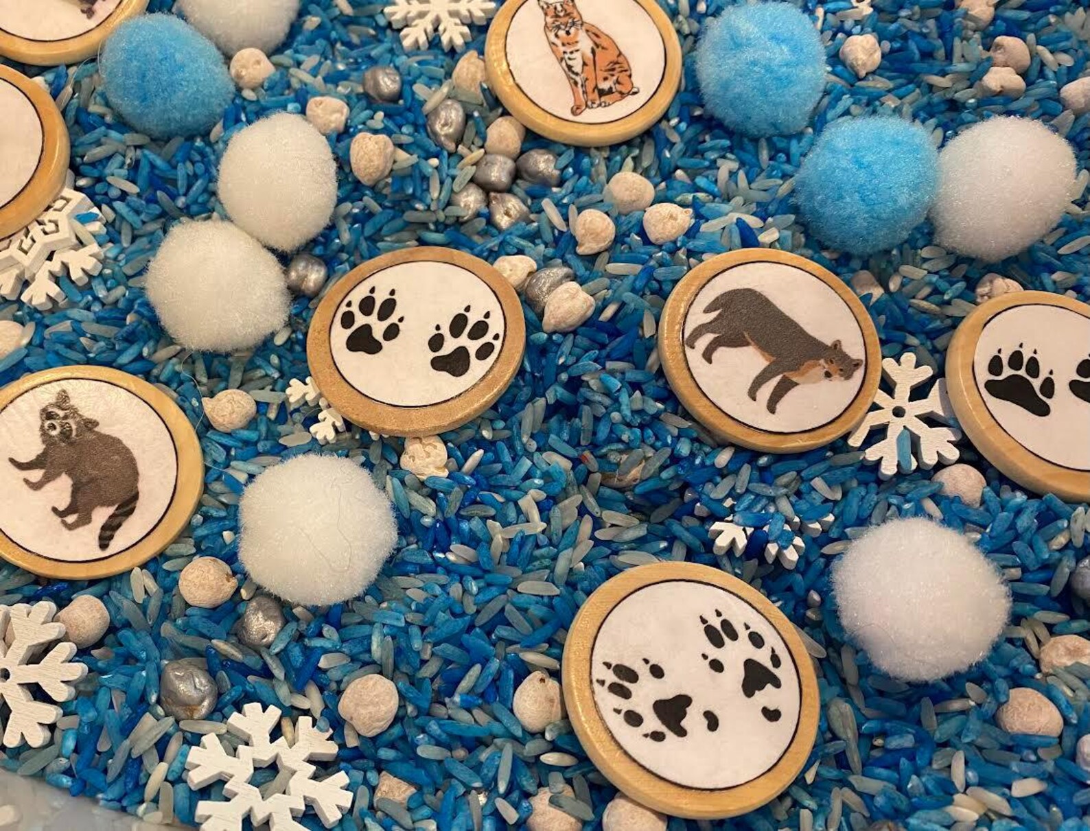 Animal Tracks Sensory Matching Activity - DIGITAL DOWNLOAD - Etsy
