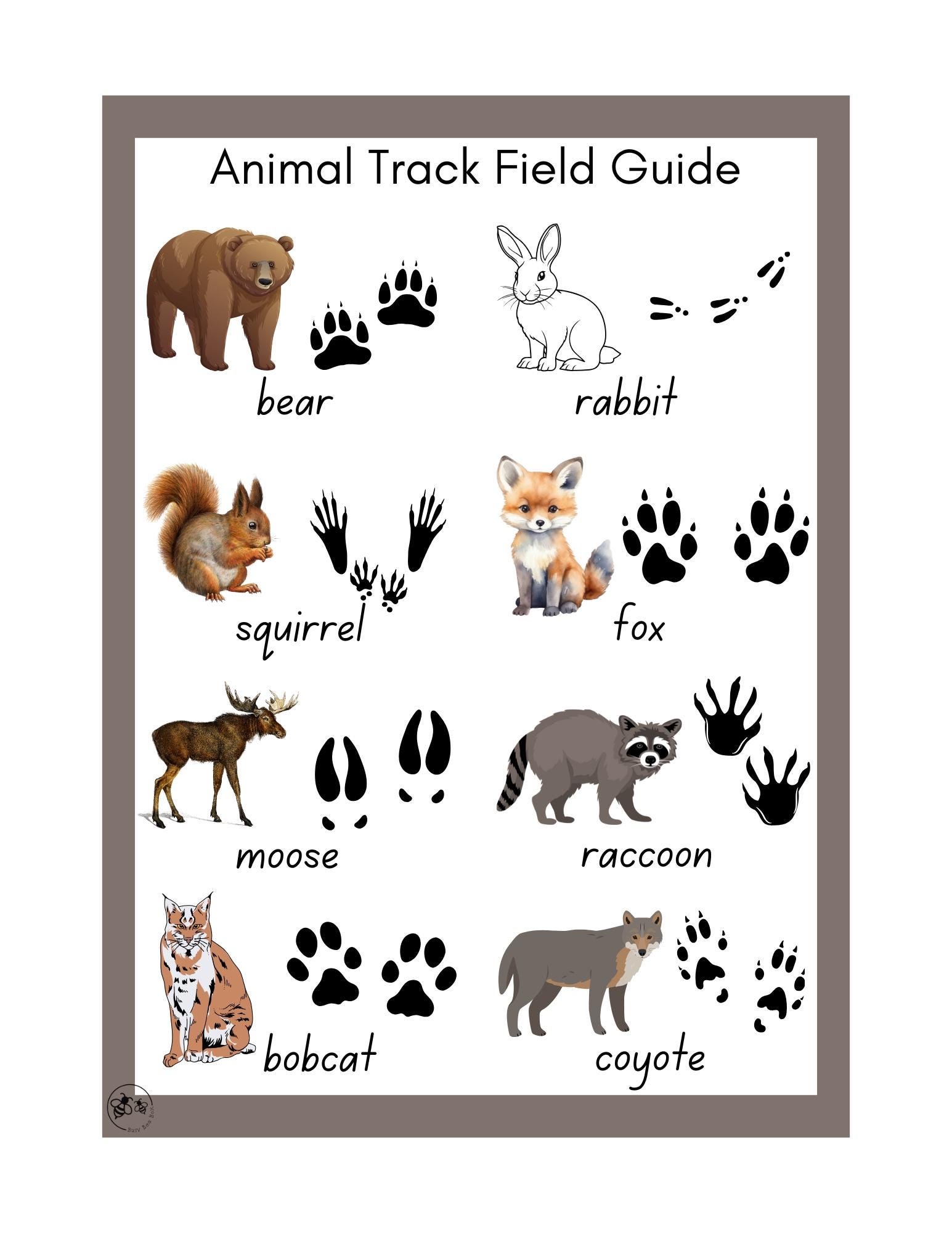 Animal Tracks Sensory Matching Activity - DIGITAL DOWNLOAD - Etsy
