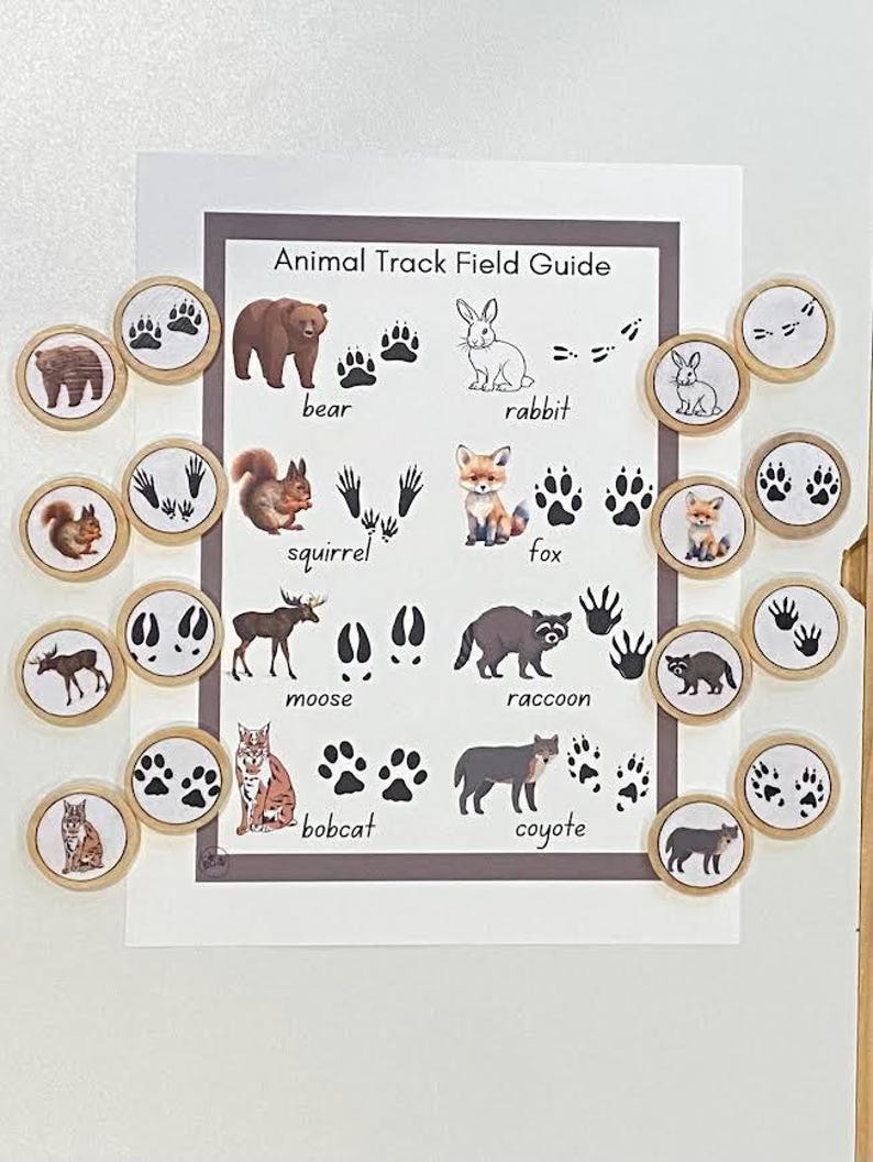 Animal Tracks Sensory Matching Activity - DIGITAL DOWNLOAD - Etsy