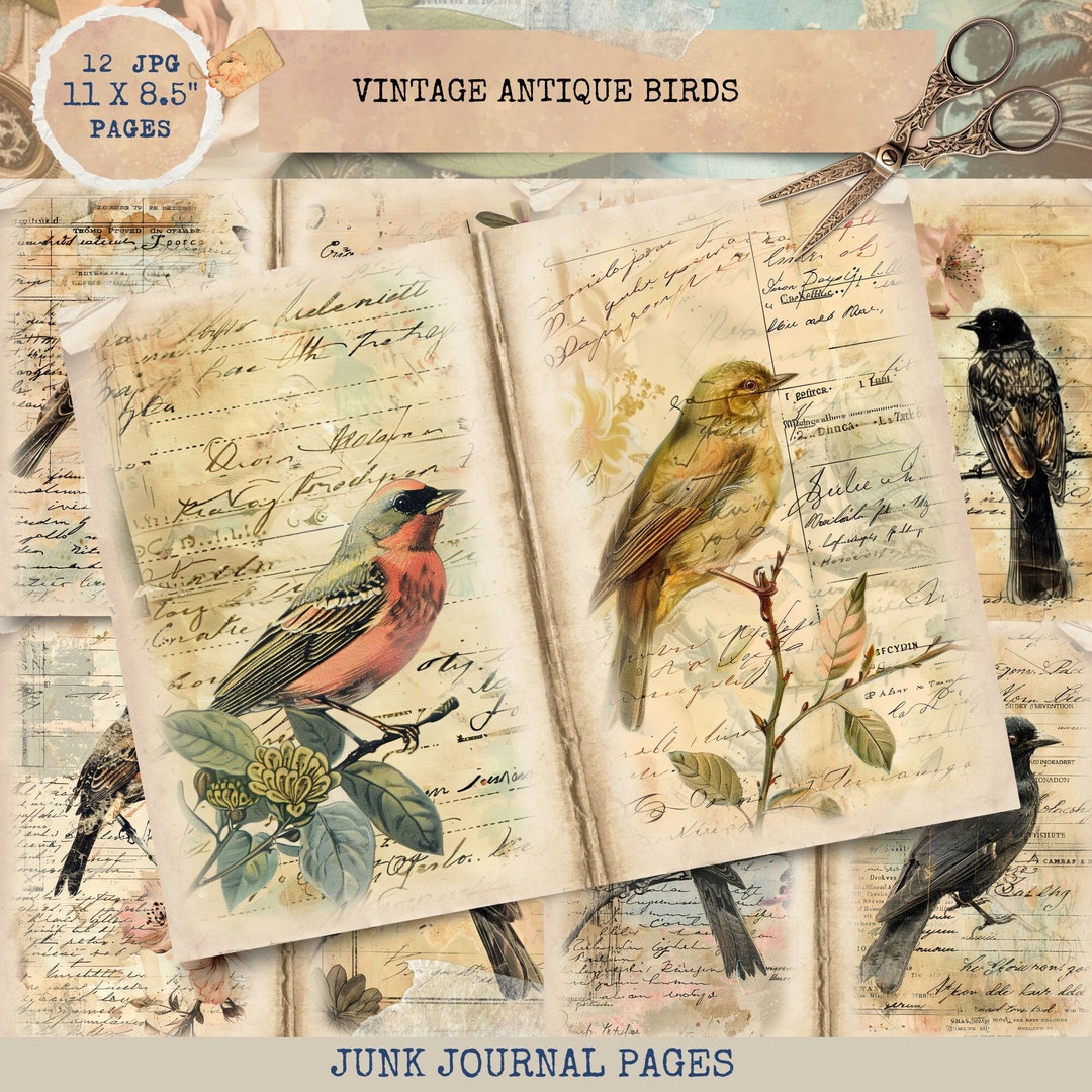 Vintage Antique Birds Junk Journal Pages, Digital Scrapbook Paper, Bird ...