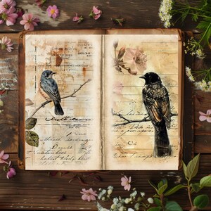 Vintage Antique Birds Junk Journal Pages, Digital Scrapbook Paper, Bird ...