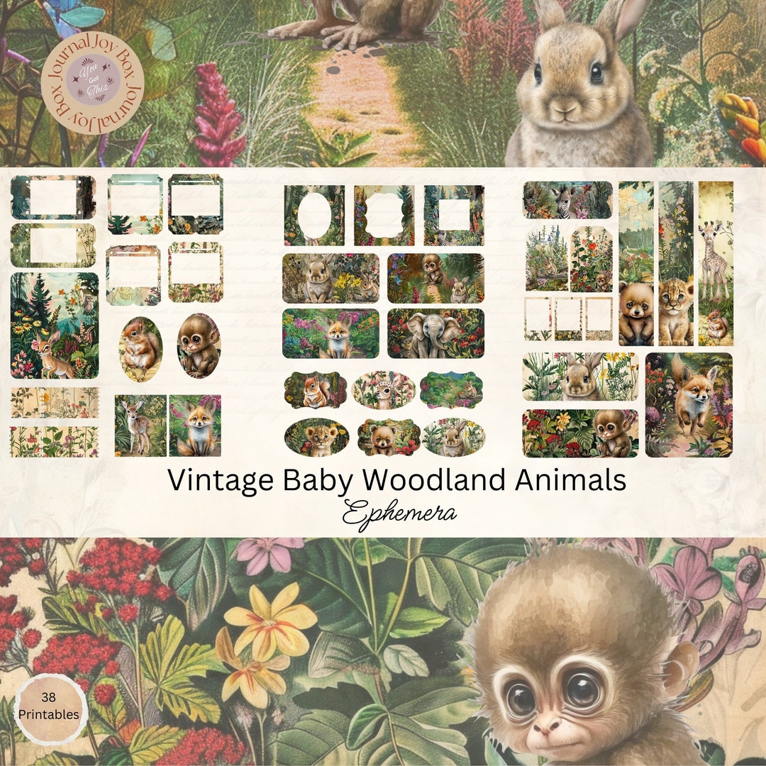 Woodland Baby Animals Ephemera Cards, 38 Mini Extras Pack, Animal ...