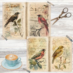 Vintage Antique Birds Junk Journal Pages, Digital Scrapbook Paper, Bird ...