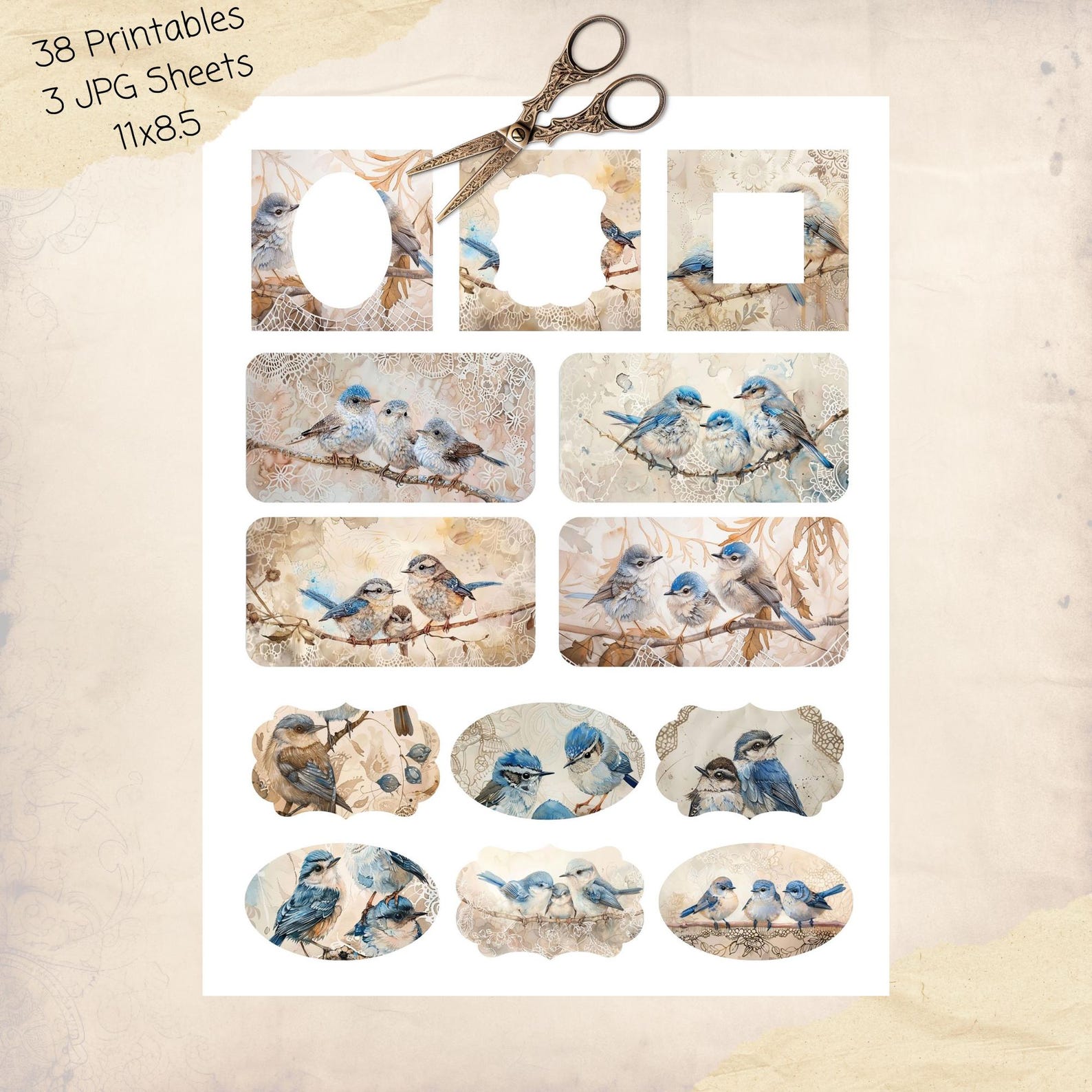 Vintage Blue Lace Birds Ephemera Cards, 38 Mini Extras Pack, Birds ...