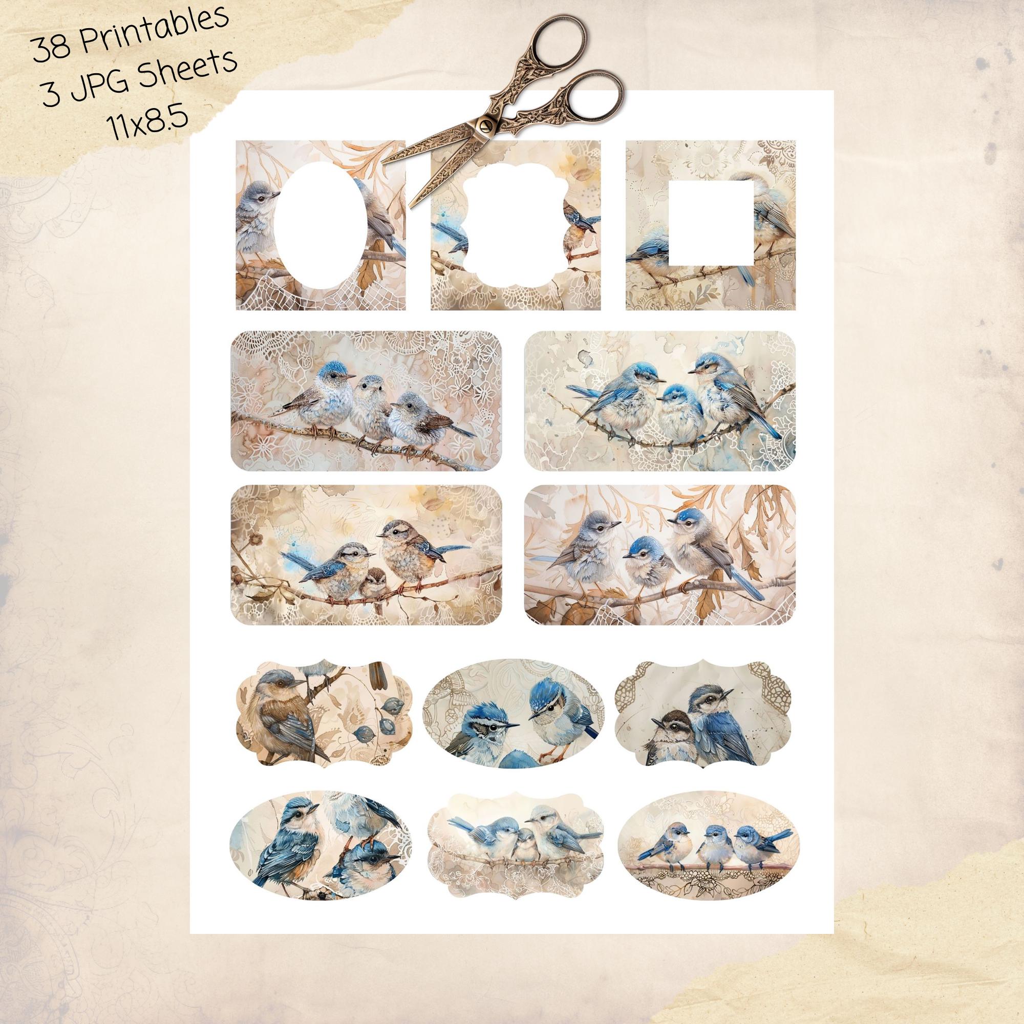 Vintage Blue Lace Birds Ephemera Cards, 38 Mini Extras Pack, Birds ...