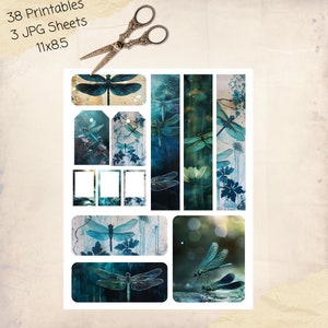 Dragonfly Wings Ephemera Cards, 38 Mini Extras Pack, Dragonfly ...