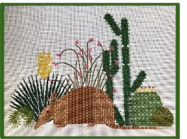 Stitch Guide for Charley Harpers Armadillo and Cactus Needlepoint ...