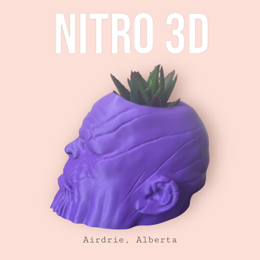 Thanos Planter Planter Succulent Planter Pot Marvel Geeky Gift - Etsy