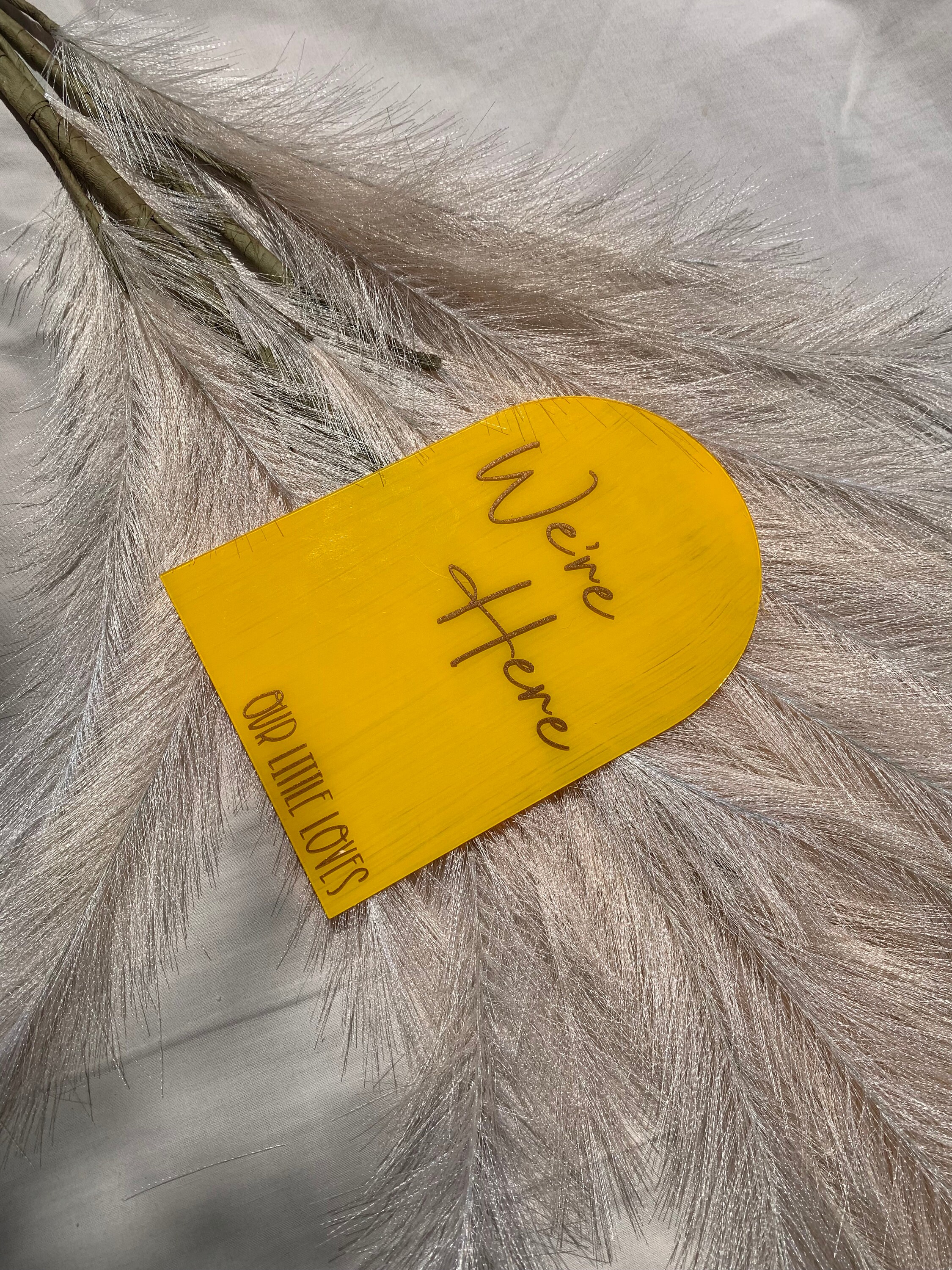 Birth Announcement Plaque Arch, Hello World, I'm Here, We're Here, She ...