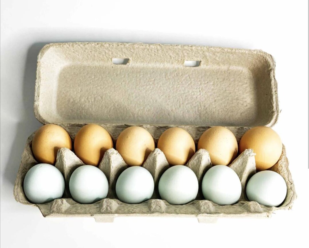 10 Farm Fresh Unwashed Barnyard Mix Chicken Eggs - Etsy