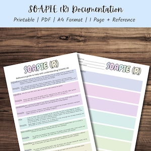 SOAPIE (R) Documentation Template and Reference Guide - Etsy