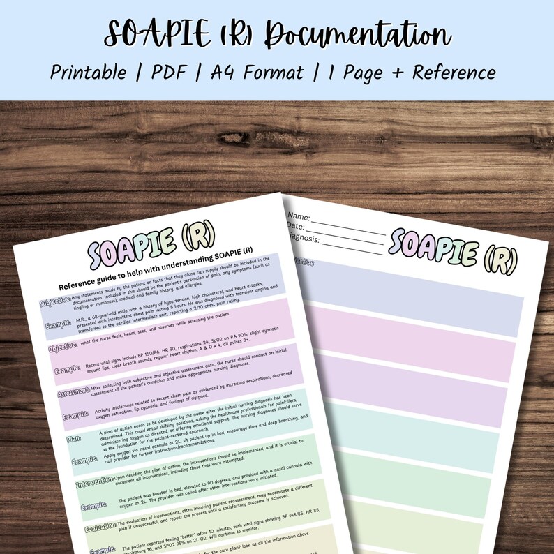 SOAPIE (R) Documentation Template and Reference Guide - Etsy