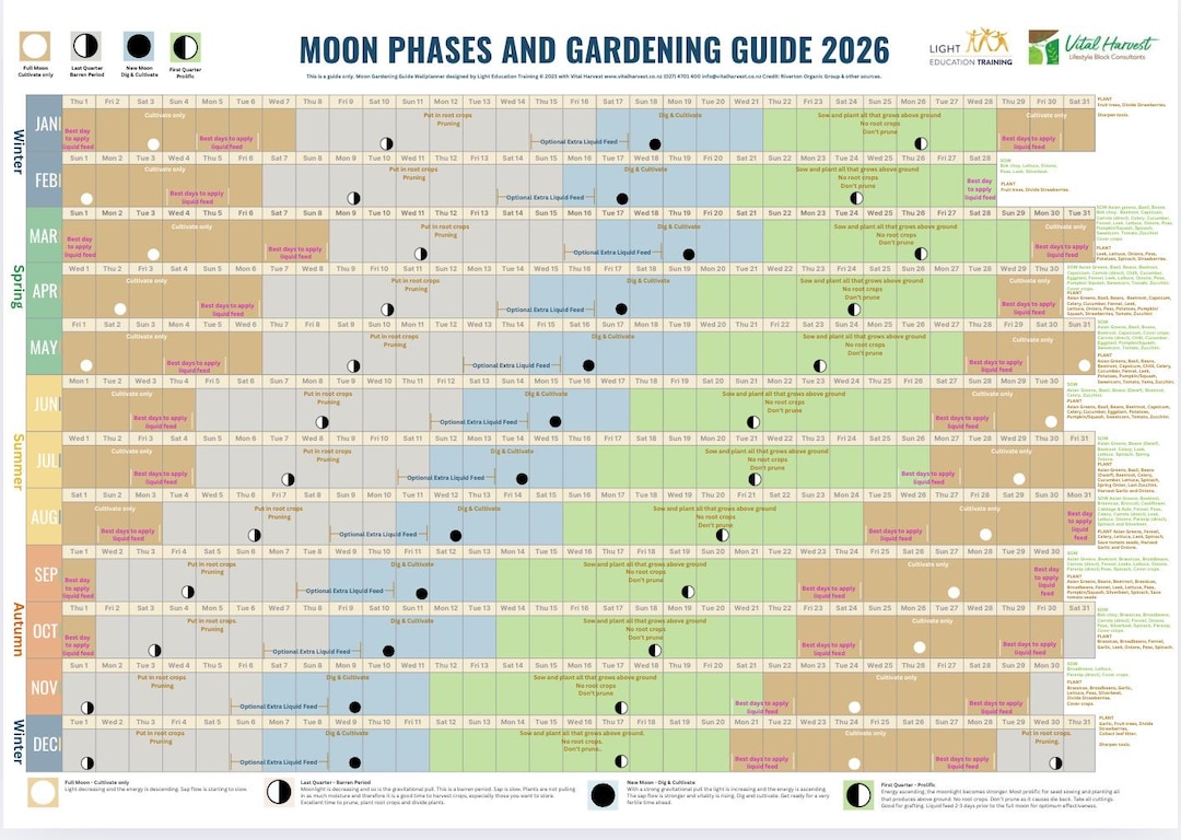 2026 Gardening Guide Wall Planner Moon Lunar Phases Calendar Etsy
