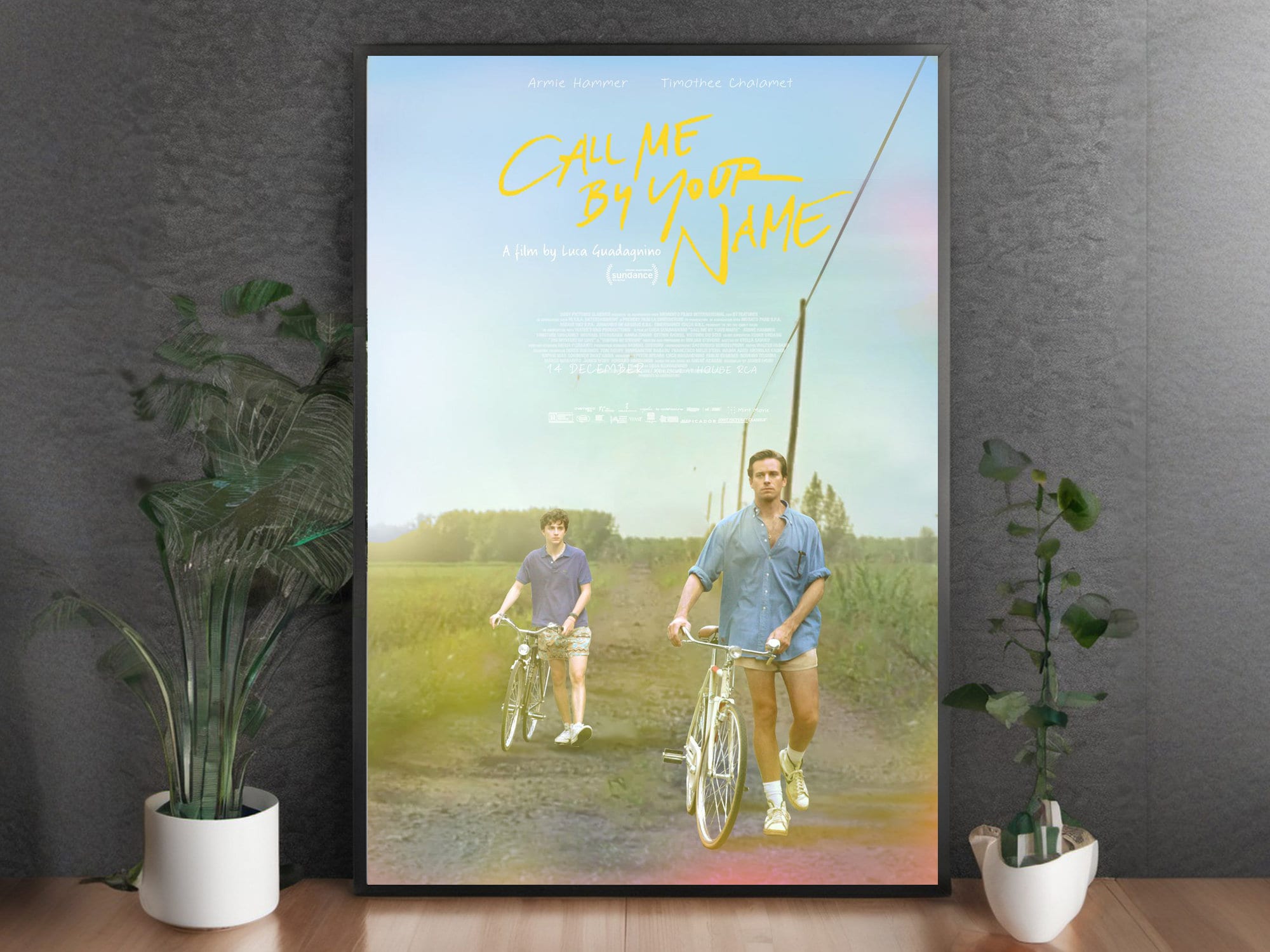 Printblur Call Me by Your Name_Movie posters | 48% OFF Today Sale!