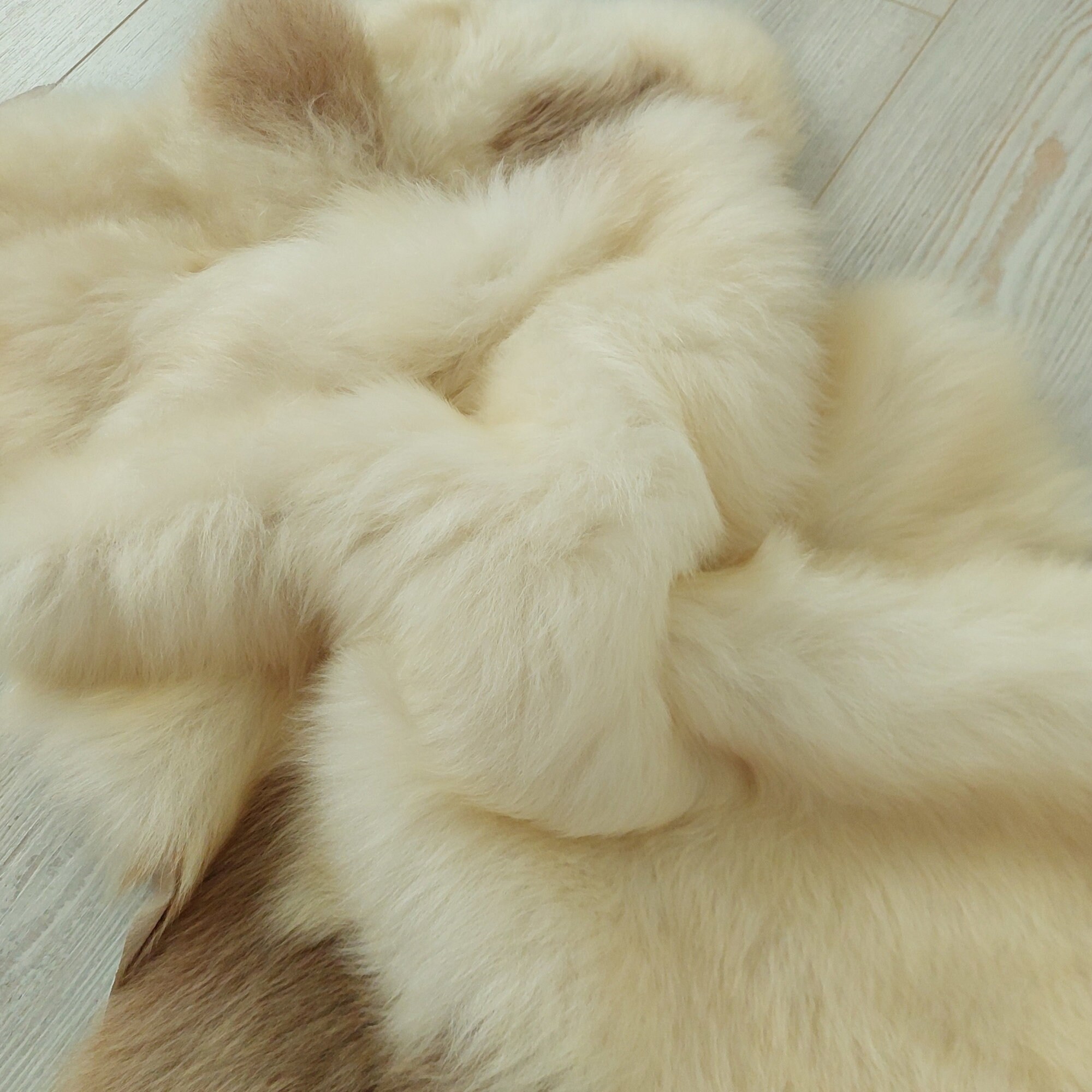 Luxury Home Decore Sheepskin Rug Throw Hide, Very Rare Natural Colors ...