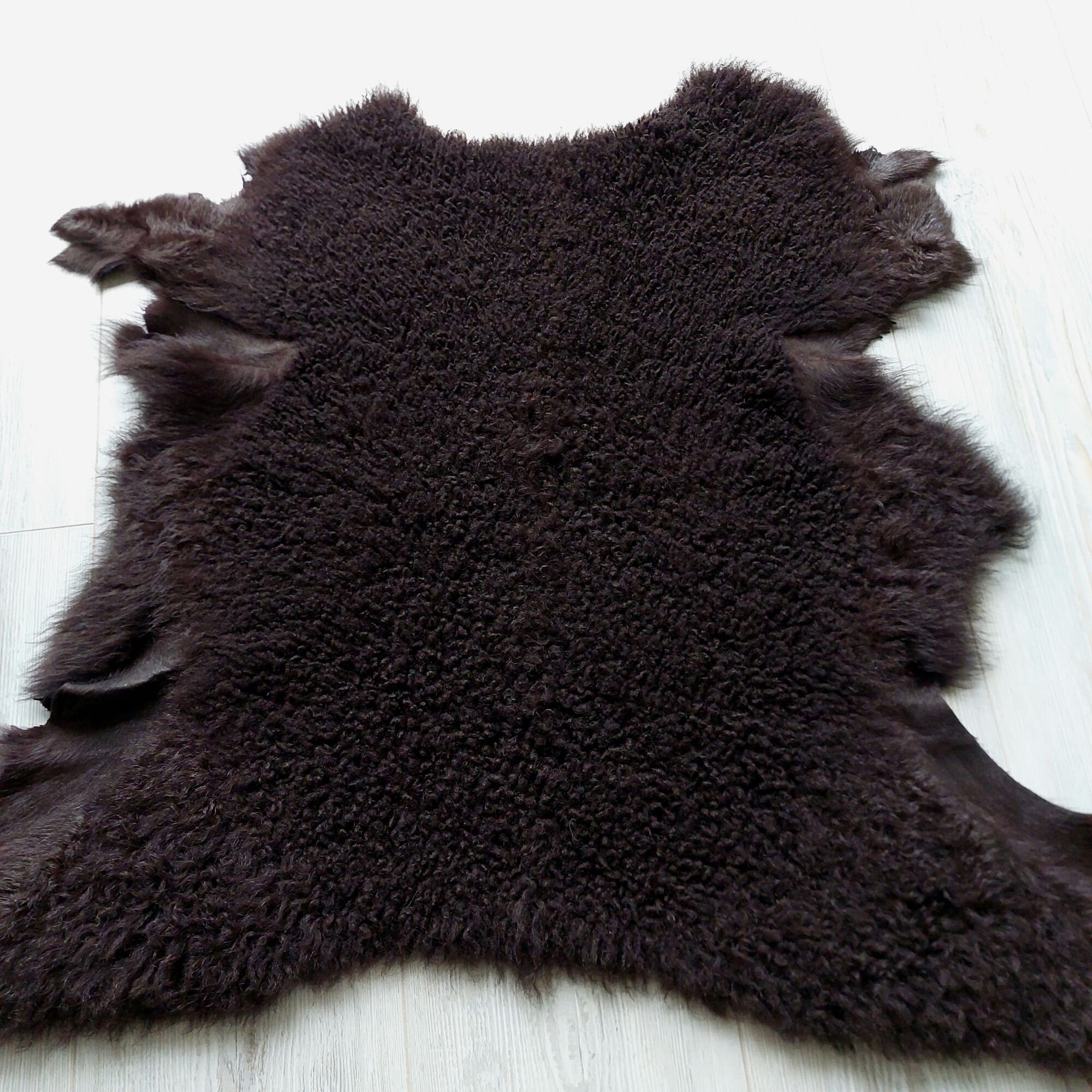 Luxury Dark Brown Curly Tigrado Sheepskin, Genuine Leather, Collar Fur ...