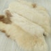 Luxury Home Decore Sheepskin Rug Throw Hide, Very Rare Natural Colors ...