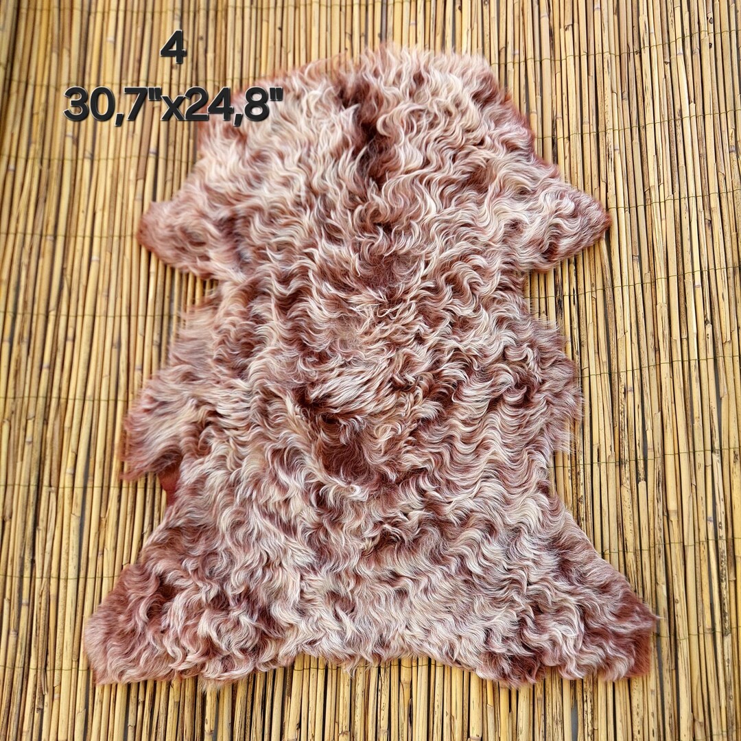 Genuine Two Tone Curly Sheepskin Throw Rug, Shaded Collar Fur Sheepskin ...