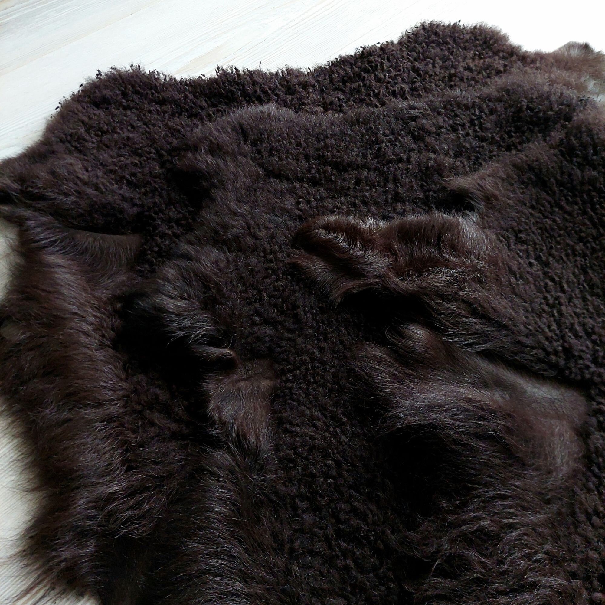 Luxury Dark Brown Curly Tigrado Sheepskin, Genuine Leather, Collar Fur ...