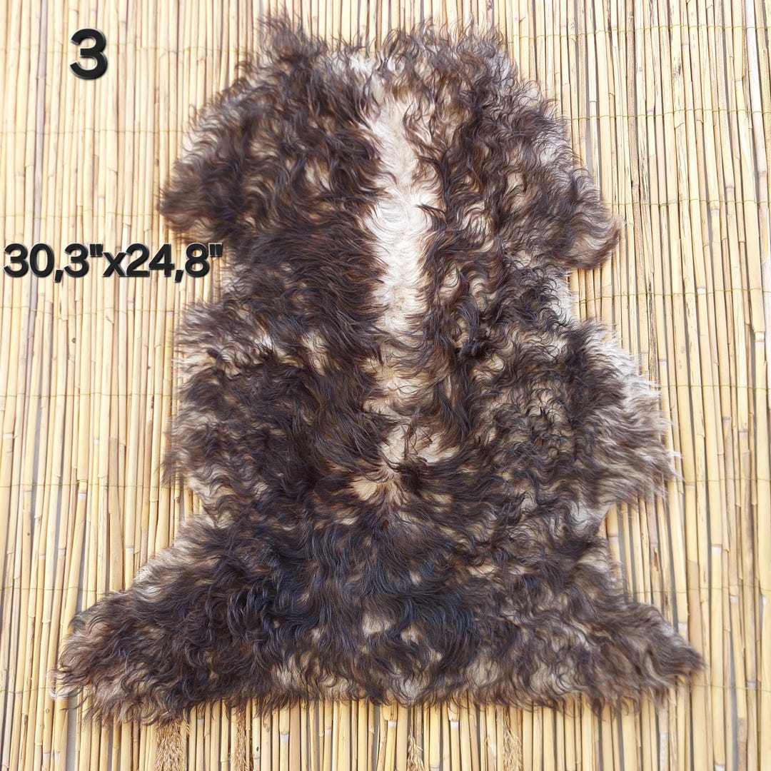 Genuine Two Tone Curly Sheepskin Throw Rug, Luxury Shaded Collar Fur ...