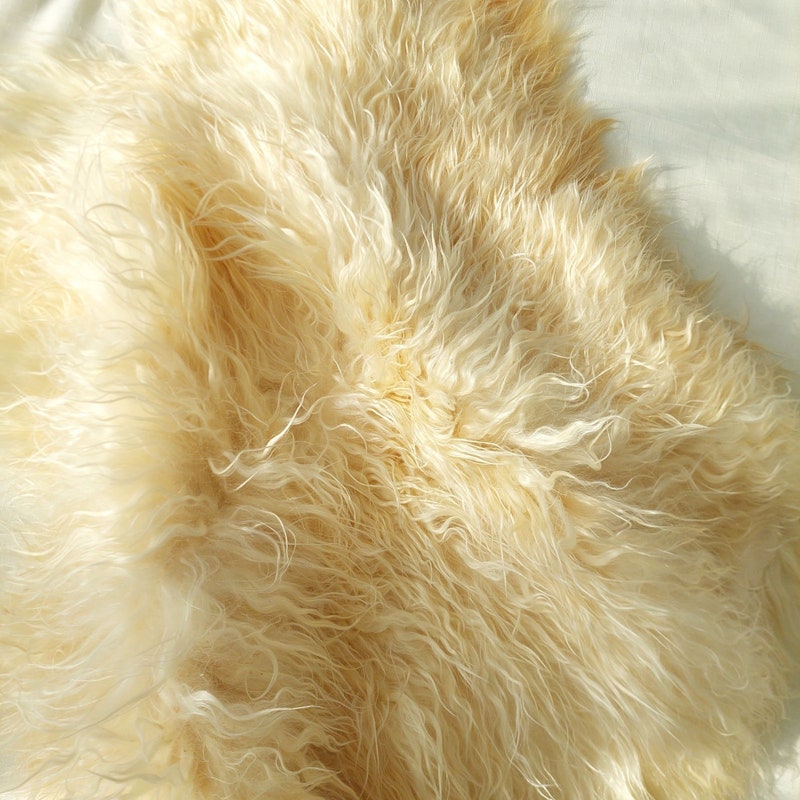 Angora Goat - Etsy